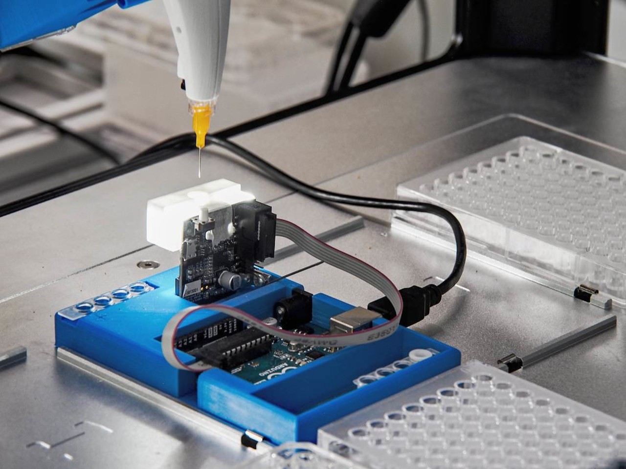 Cinderella: helping to prepare samples for plant research: Faculty of ...